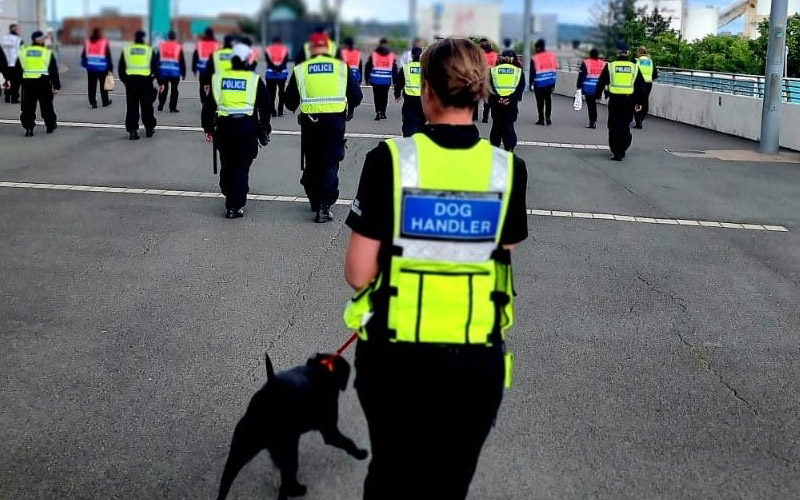 Specialist Detection Dogs | First Response Group